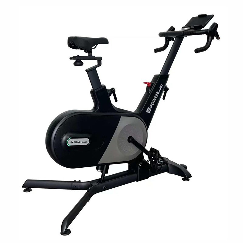 POWERland Exercise Bike Silent Fitness Bike YK-TC2301 130kg ...
