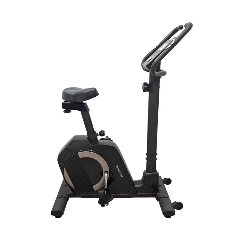 POWERland Exercise Bike 150kg YK10M16B Upright Exercise Bike Exercise ...