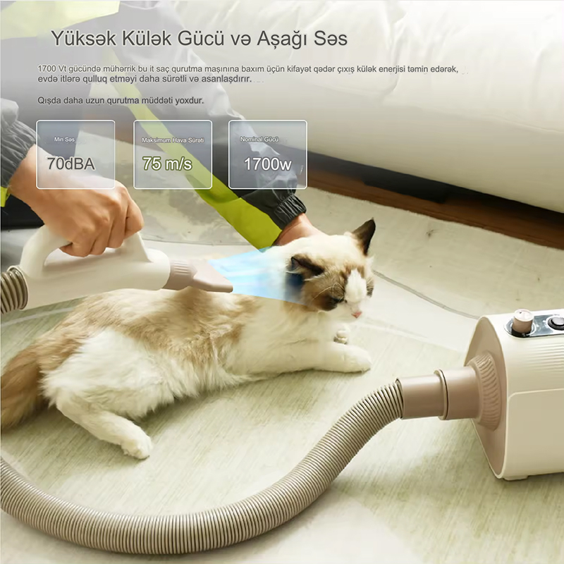 GDEDI GDF01A Ev Heyvanları İtlər Pişiklər Üçün Elektrikli Tük Qurutma ...